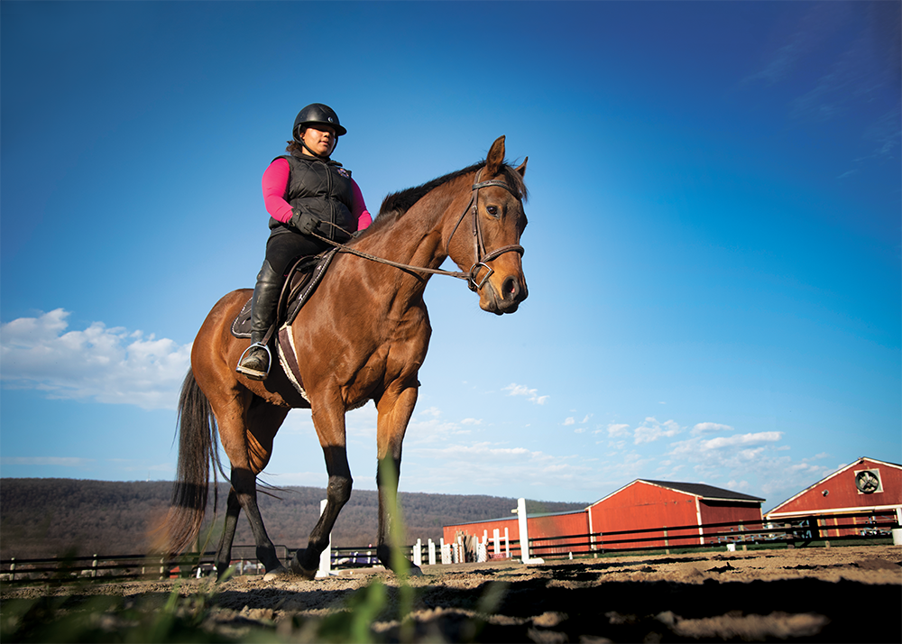 Equine Studies | Wilson Edu